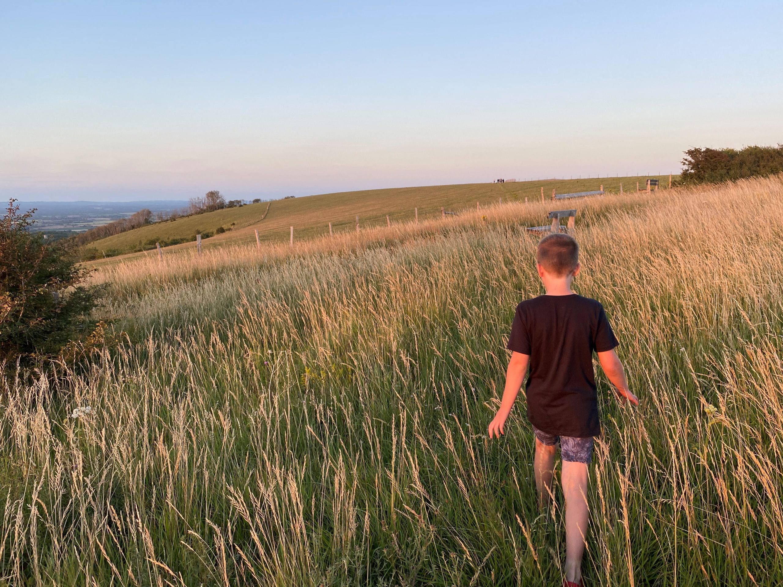 Gallery - Chiddingly Campsite